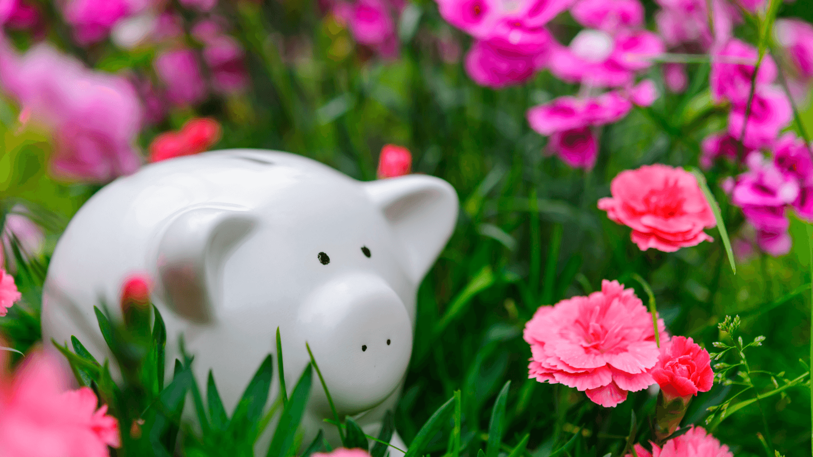 Spring Into Retirement Savings with a Self-Directed IRA - Next ...